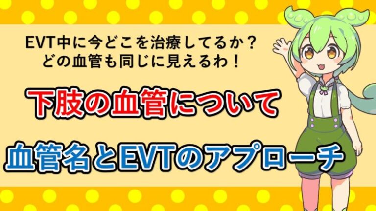 EVT(Jpn) | カンペの獣