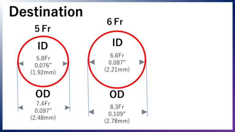 [Complete Guide] Guiding Sheaths and Guiding Catheters for EVT | カンペの獣